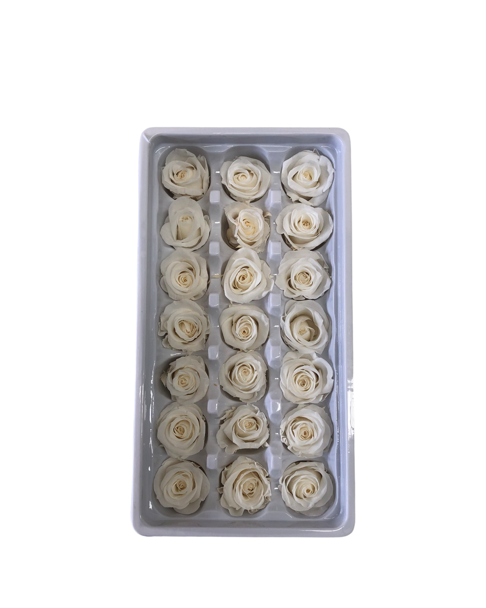 Rose heads Mini ( preserved Rosa ) – dryflowershop
